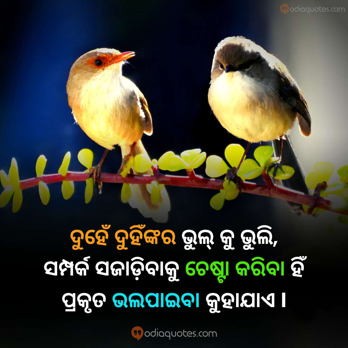 Odia Love Quotes 2021 | Best 50 + Odia Love Shayari Images