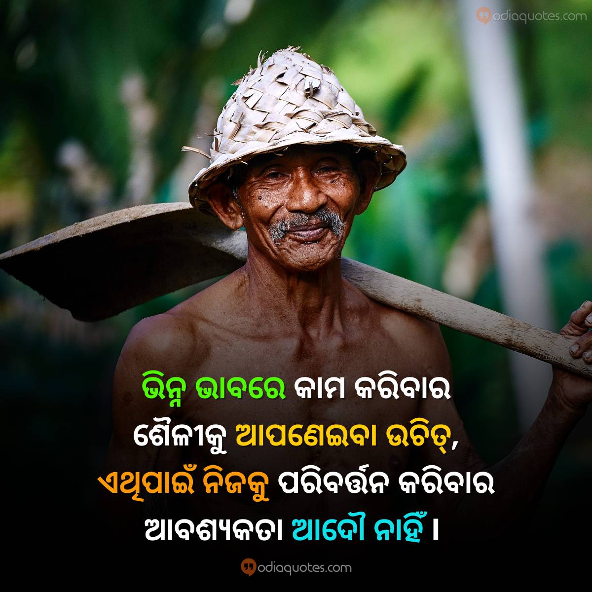 Best 50+ Odia Motivational Quotes | Best Motivational Odia Shayari On ...