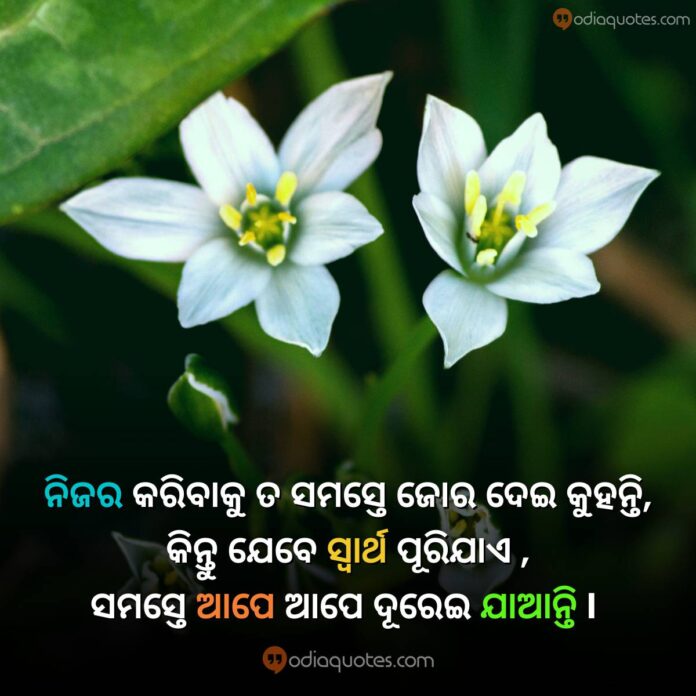Best 50+ Odia Sad Quotes [June- 2026] | Best 50+ Odia Sad Shayari Images