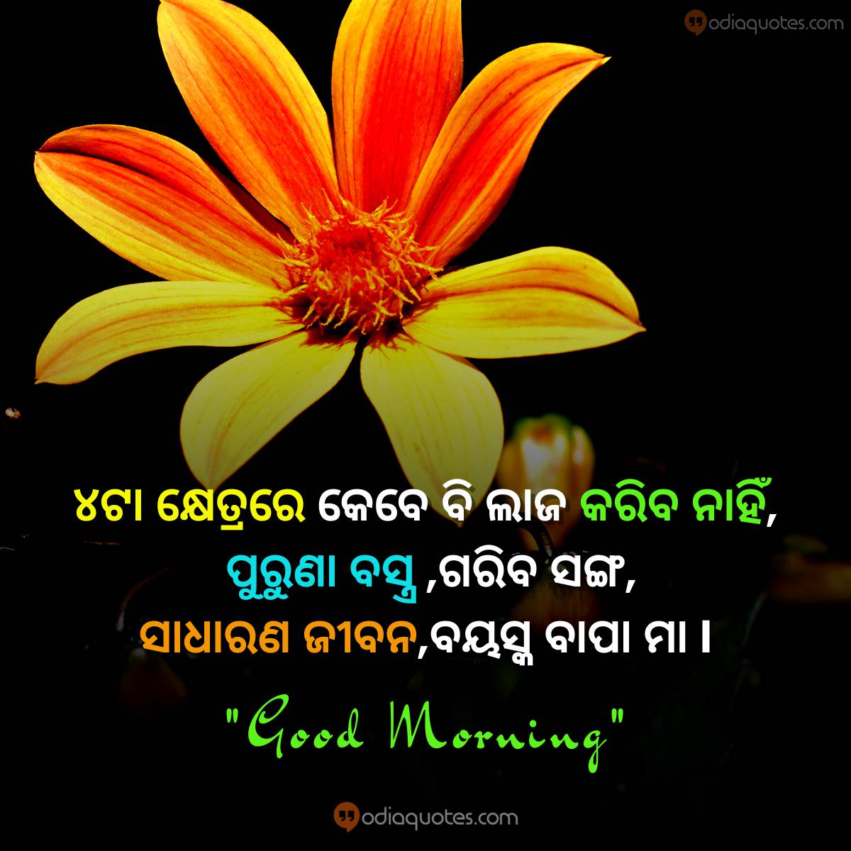 Top 50+ Odia Good Morning Quotes [August- 2021] | Best 50+ Odia Good ...