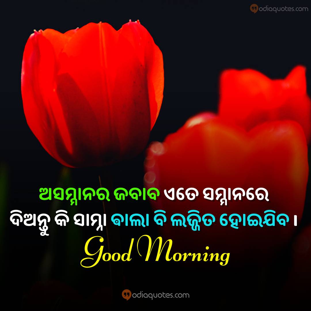 Top 50+ Odia Good Morning Quotes [January- 2026] | Best 50+ Odia Good ...