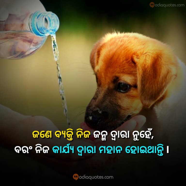 Best 50+ Odia Motivational Quotes 2022 | Motivational Odia Quotes